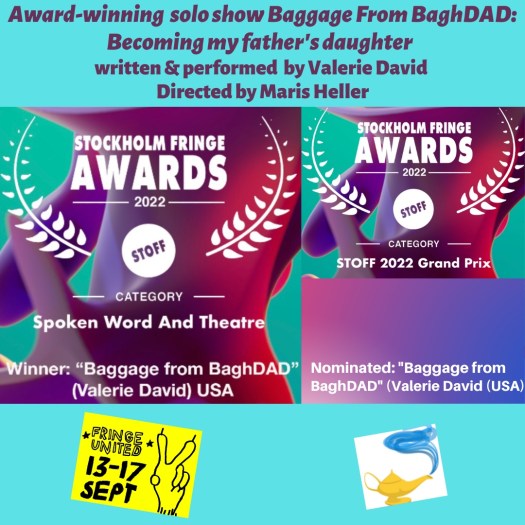 BAGGAGE FROM BaghDAD SOLO SHOW – The Pink Hulk